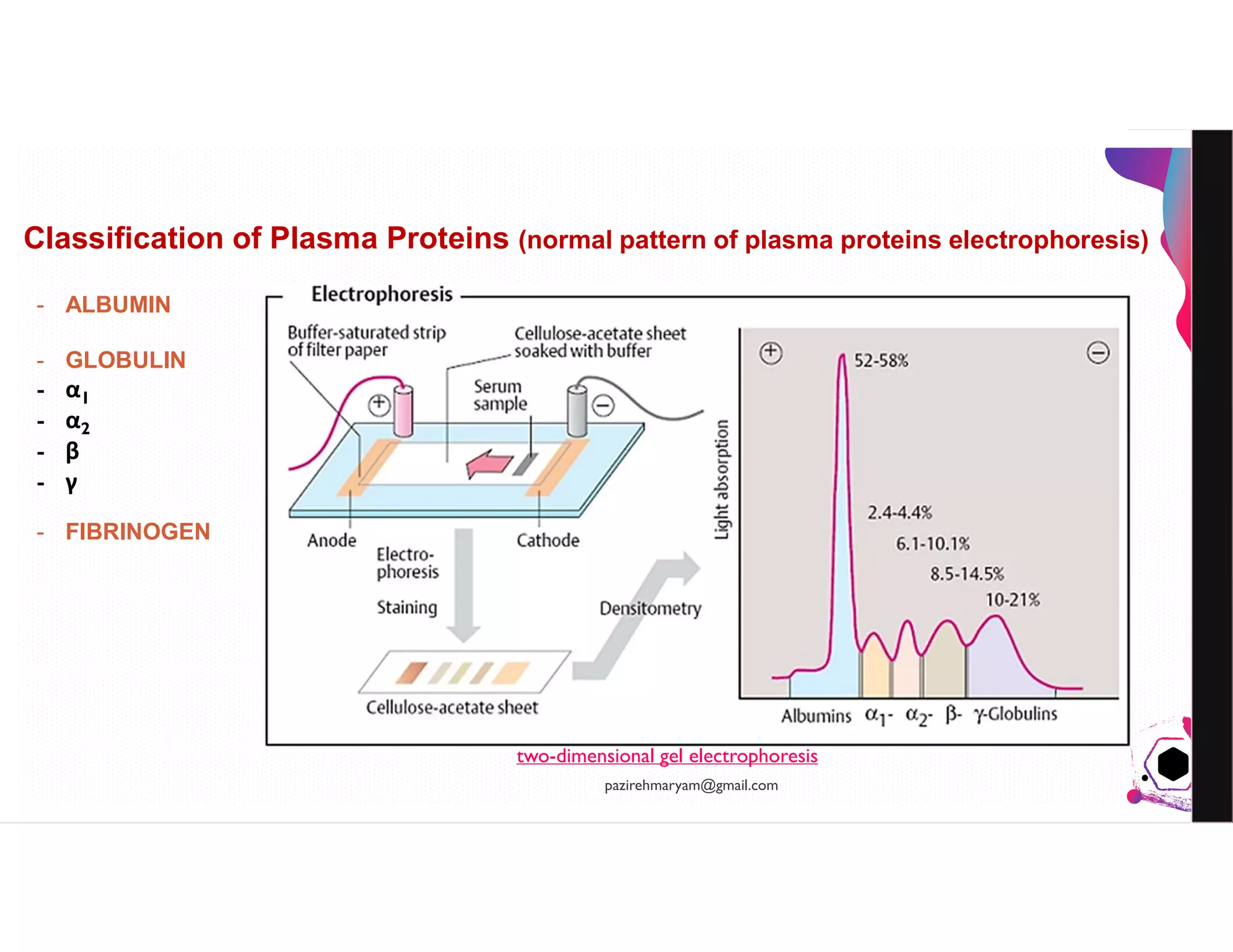 Plasma Proteins For Therapeutic Use; An Introduction to Blood PLASMA ...