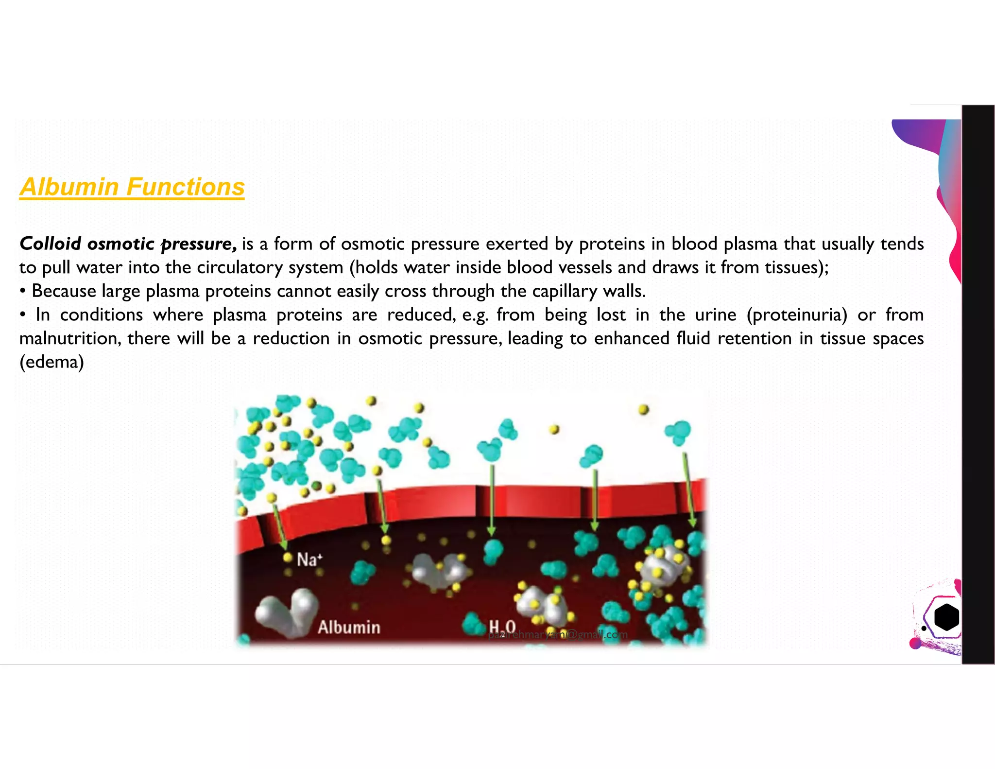 Plasma Proteins For Therapeutic Use; An Introduction to Blood PLASMA ...