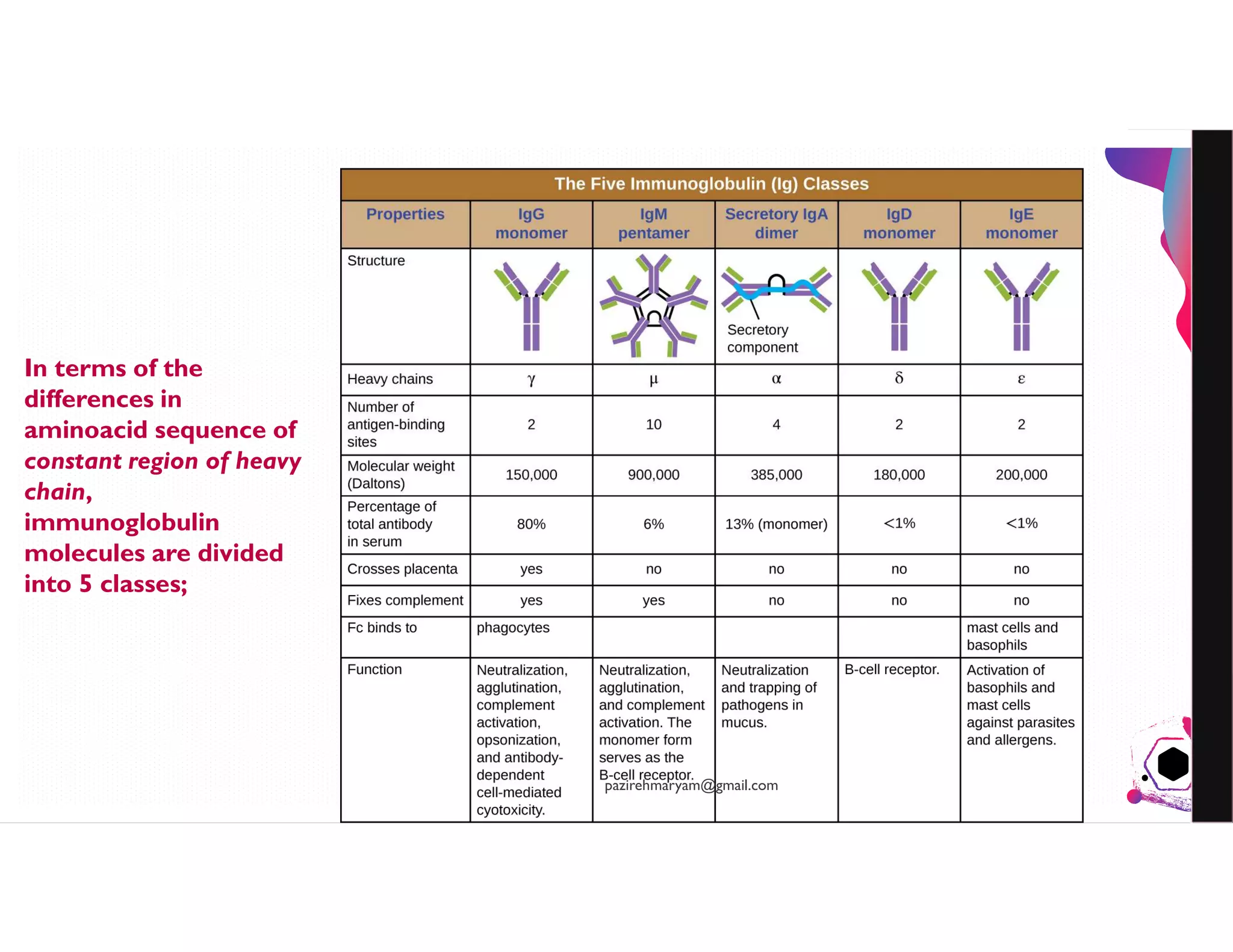 Plasma Proteins For Therapeutic Use; An Introduction to Blood PLASMA ...