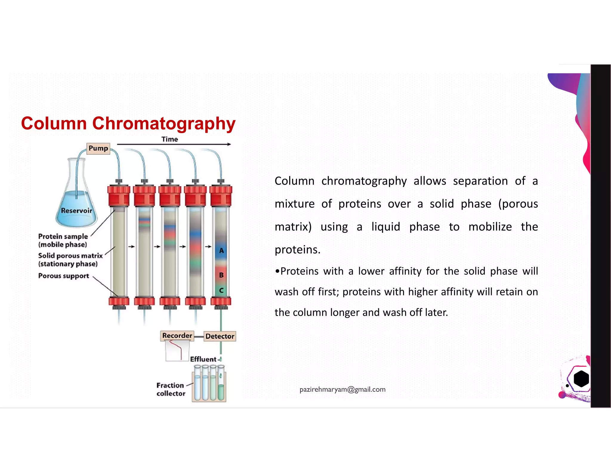 Plasma Proteins For Therapeutic Use; An Introduction to Blood PLASMA ...