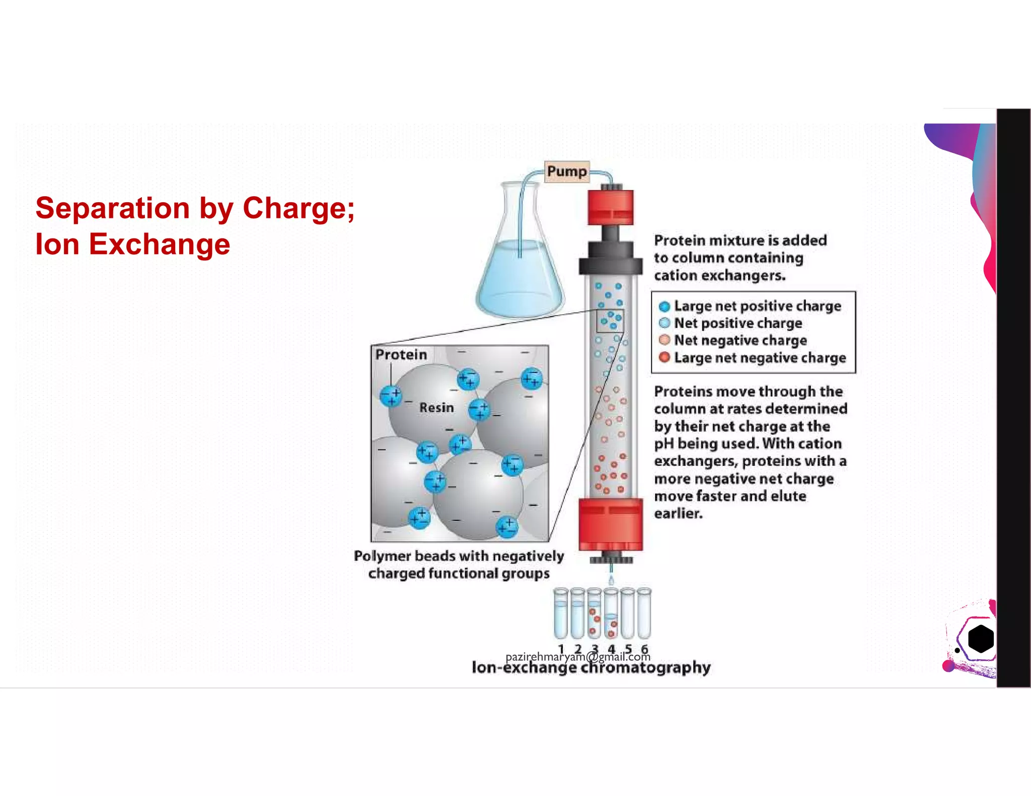 Plasma Proteins For Therapeutic Use; An Introduction to Blood PLASMA & its Separation Methods | PDF