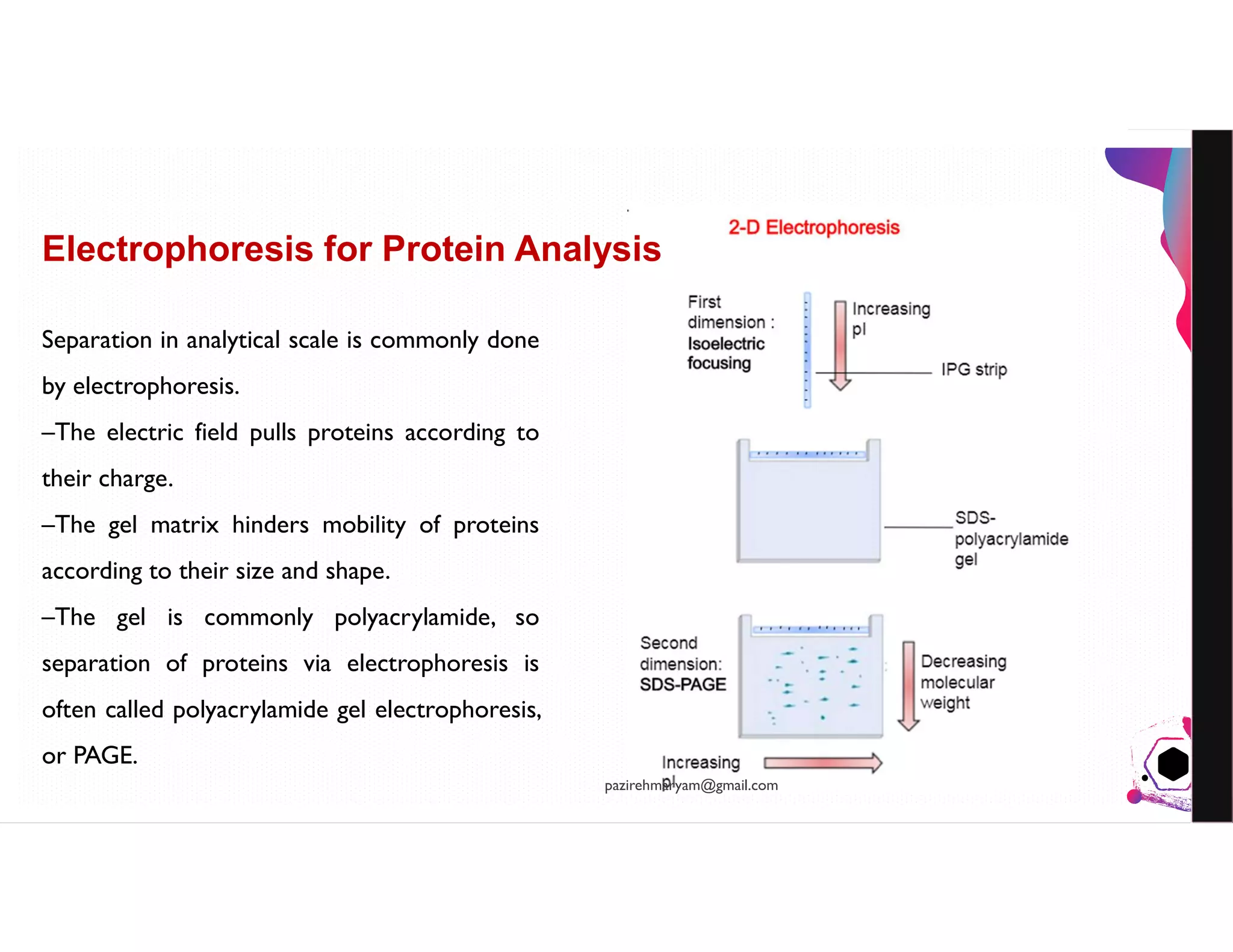 Plasma Proteins For Therapeutic Use; An Introduction to Blood PLASMA ...