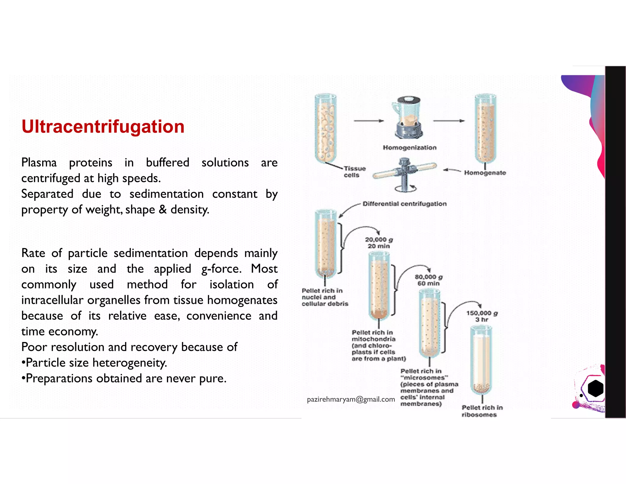 Plasma Proteins For Therapeutic Use; An Introduction to Blood PLASMA ...