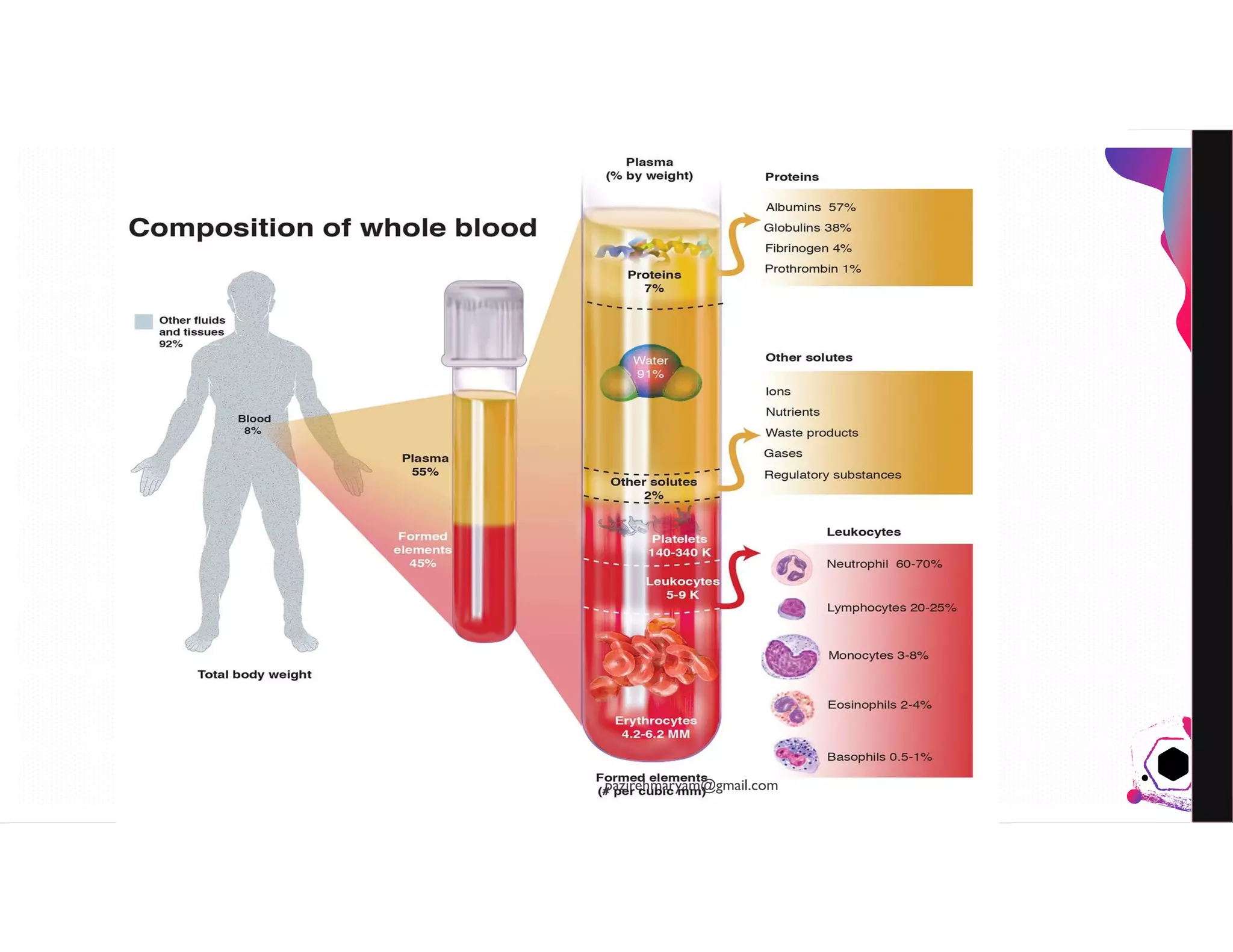 Plasma Proteins For Therapeutic Use; An Introduction to Blood PLASMA ...