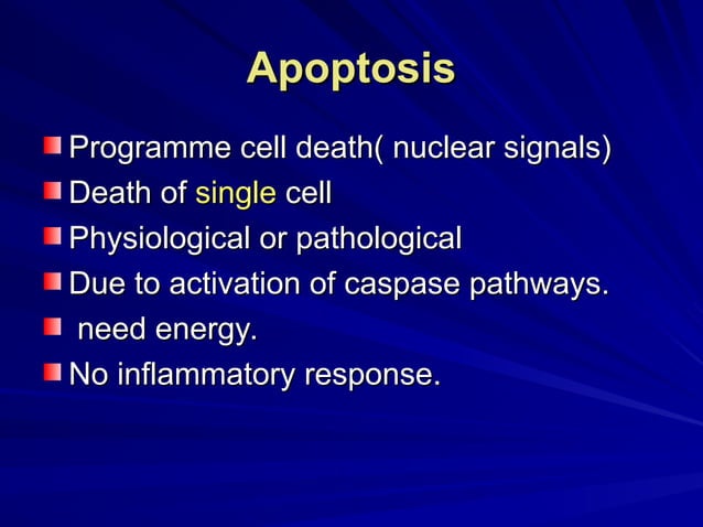Introduction cell injury pathology lecture.ppt
