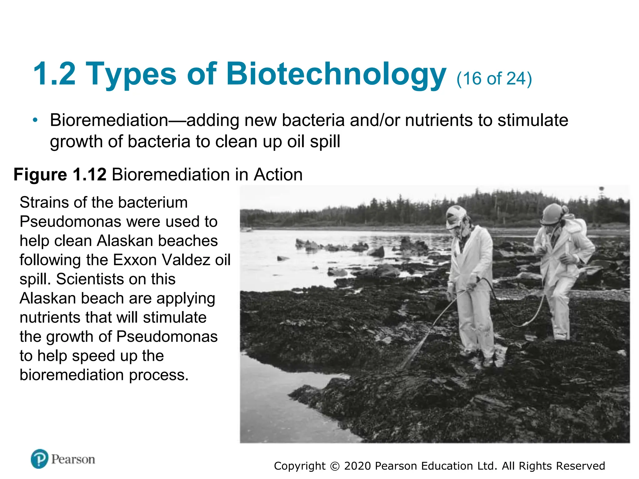 Introduction_Ch_01_Biotech Biotechnology course .pptx
