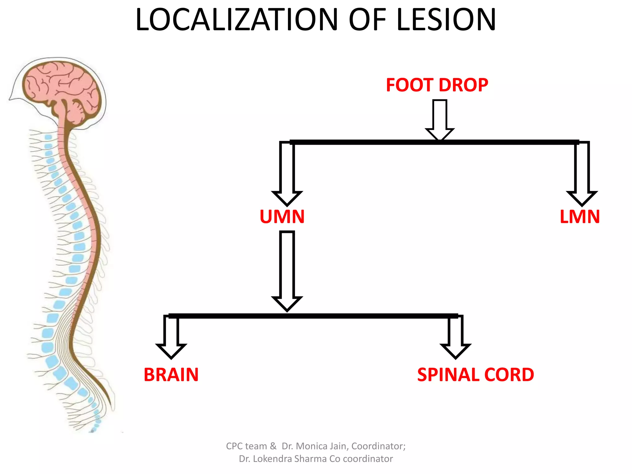 Introduction Department of Neurology CPC | PPT