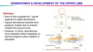 Introduction & development of upper limb, fascia, veins and dermatomes.pdf