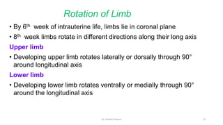 Introduction & development of upper limb, fascia, veins and dermatomes.pdf