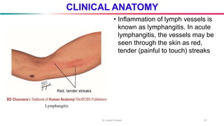 Introduction & development of upper limb, fascia, veins and dermatomes.pdf
