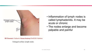 Introduction & development of upper limb, fascia, veins and dermatomes.pdf