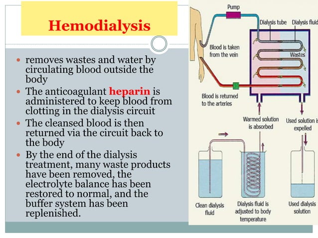 INTRODUCTION dialysis chapter types .pptx | First Aid | Injuries