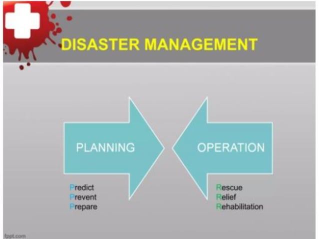Introduction Disaster Management.pdf | Business | Business and Finance