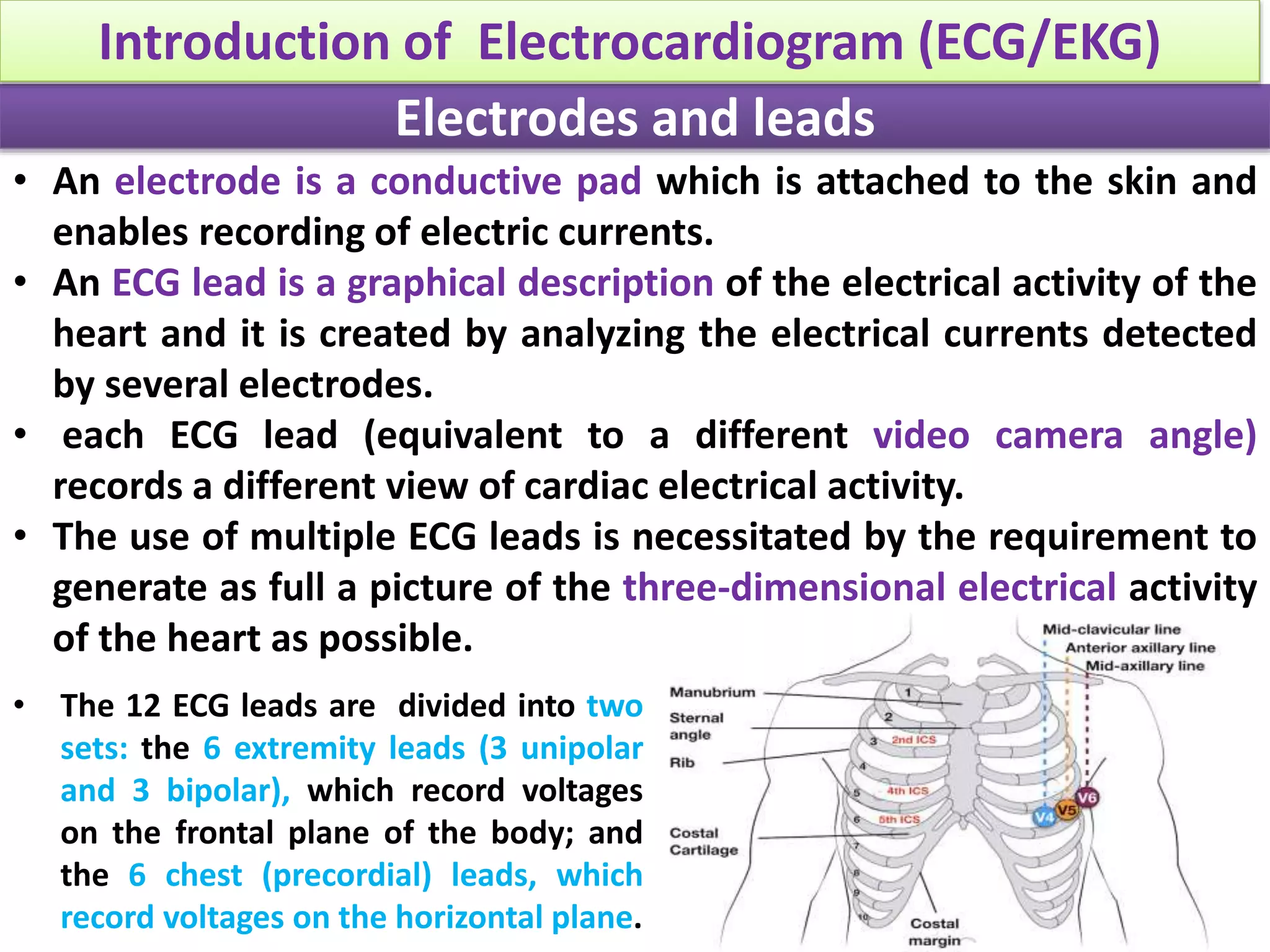 Fundamentals of ECG -Introduction | PPSX