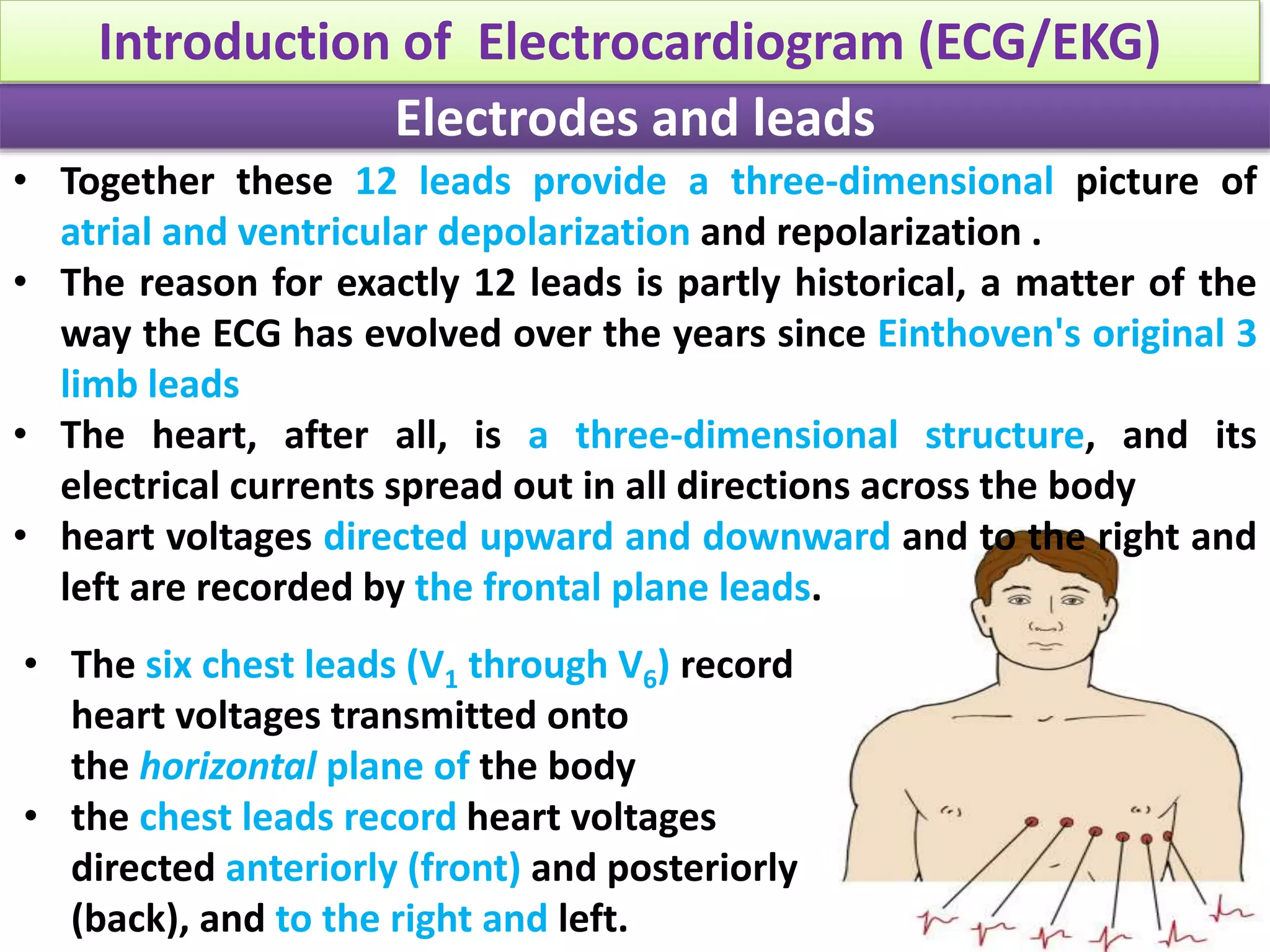 Fundamentals of ECG -Introduction | PPSX