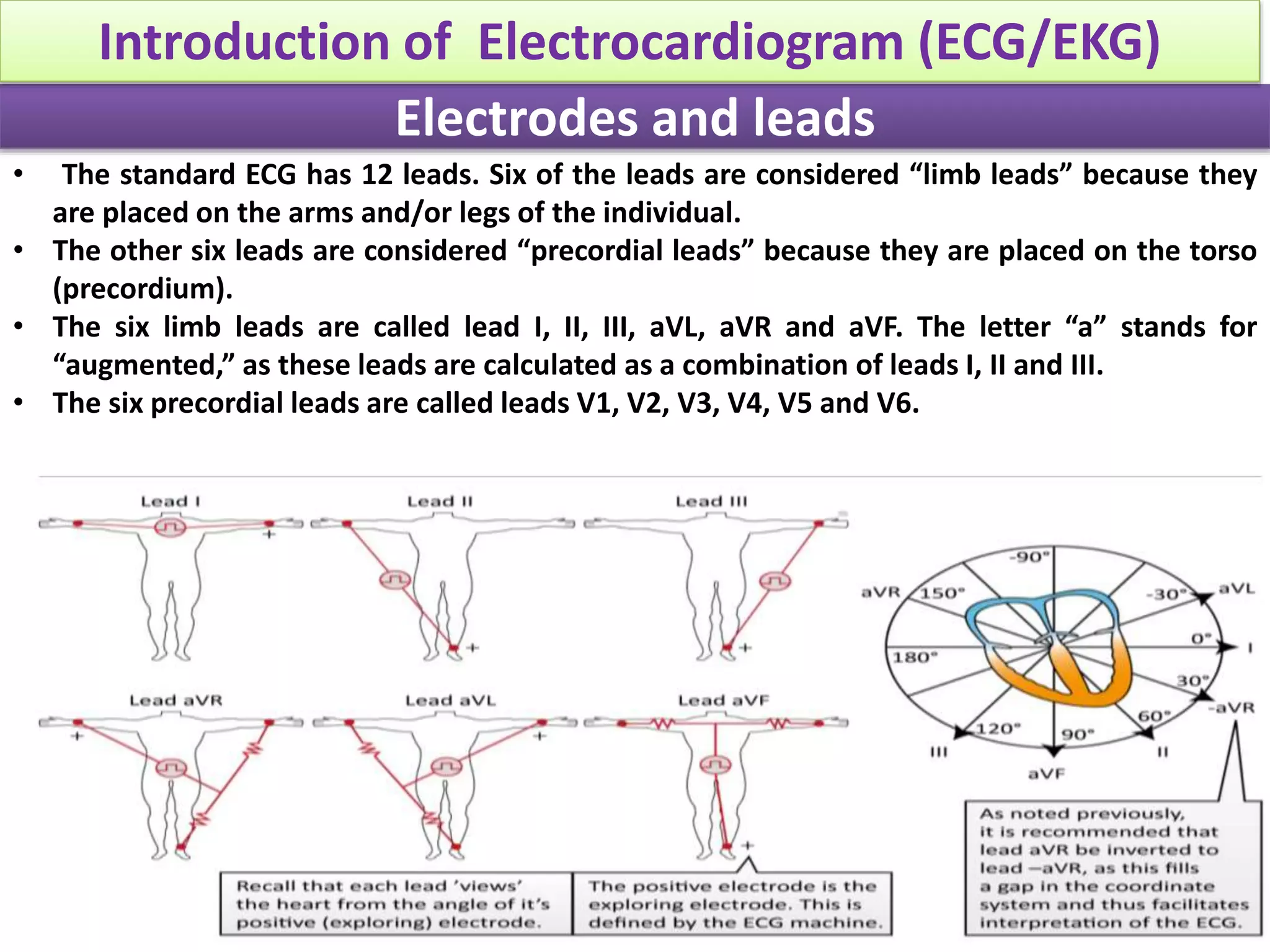 Fundamentals of ECG -Introduction | PPSX