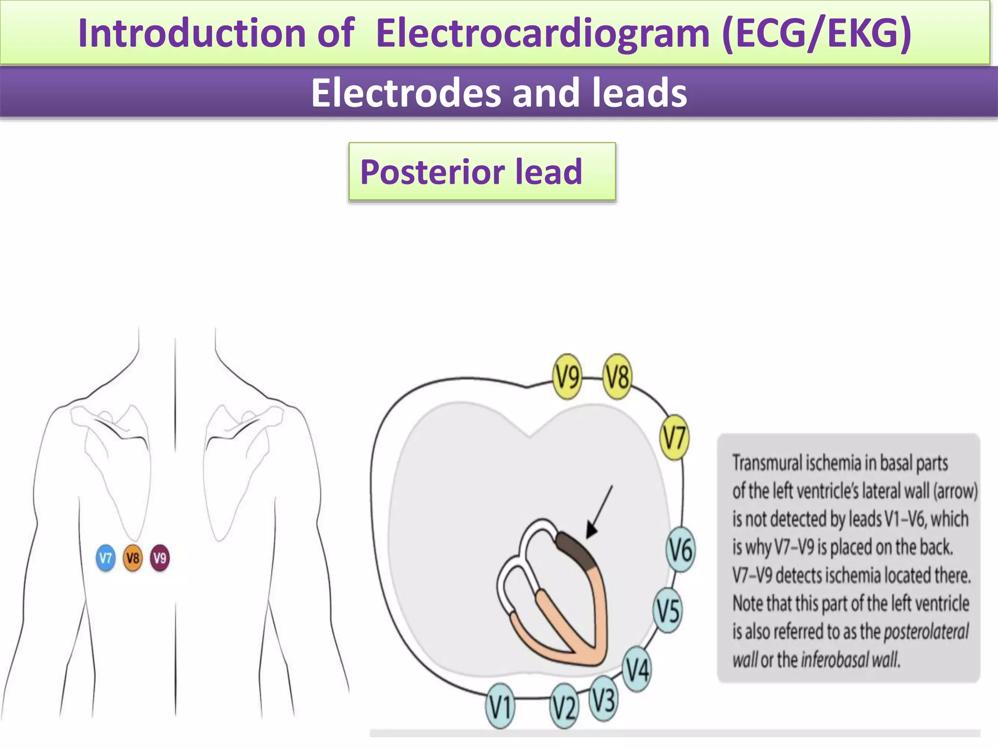 Fundamentals of ECG -Introduction | PPSX