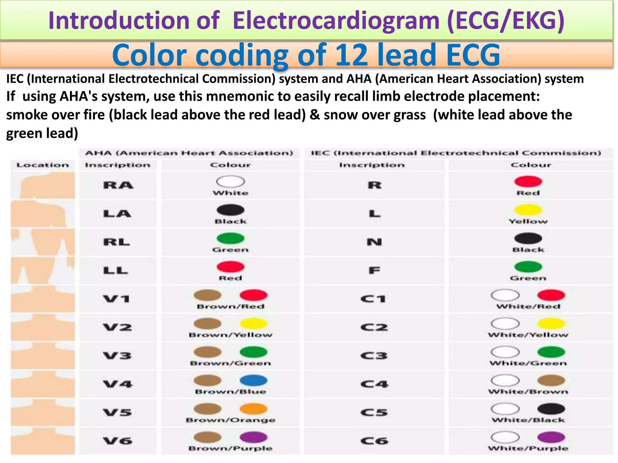 Fundamentals of ECG -Introduction | PPSX