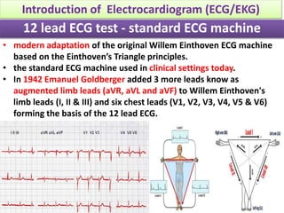 Fundamentals of ECG -Introduction | PPSX