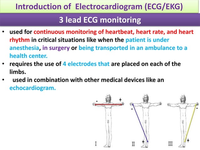 Fundamentals of ECG -Introduction | PPSX