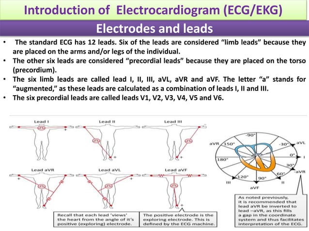 Fundamentals of ECG -Introduction | PPSX
