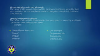 Introduction English Morphology | PPT