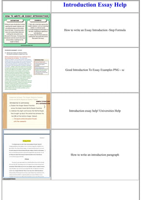 Introduction Essay Help | PDF