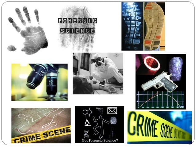 Introduction to Forensic Science | PPT