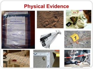 Introduction to Forensic Science | PPT