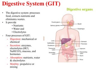 Introduction GIT..ppt