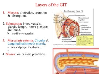 Introduction GIT..ppt