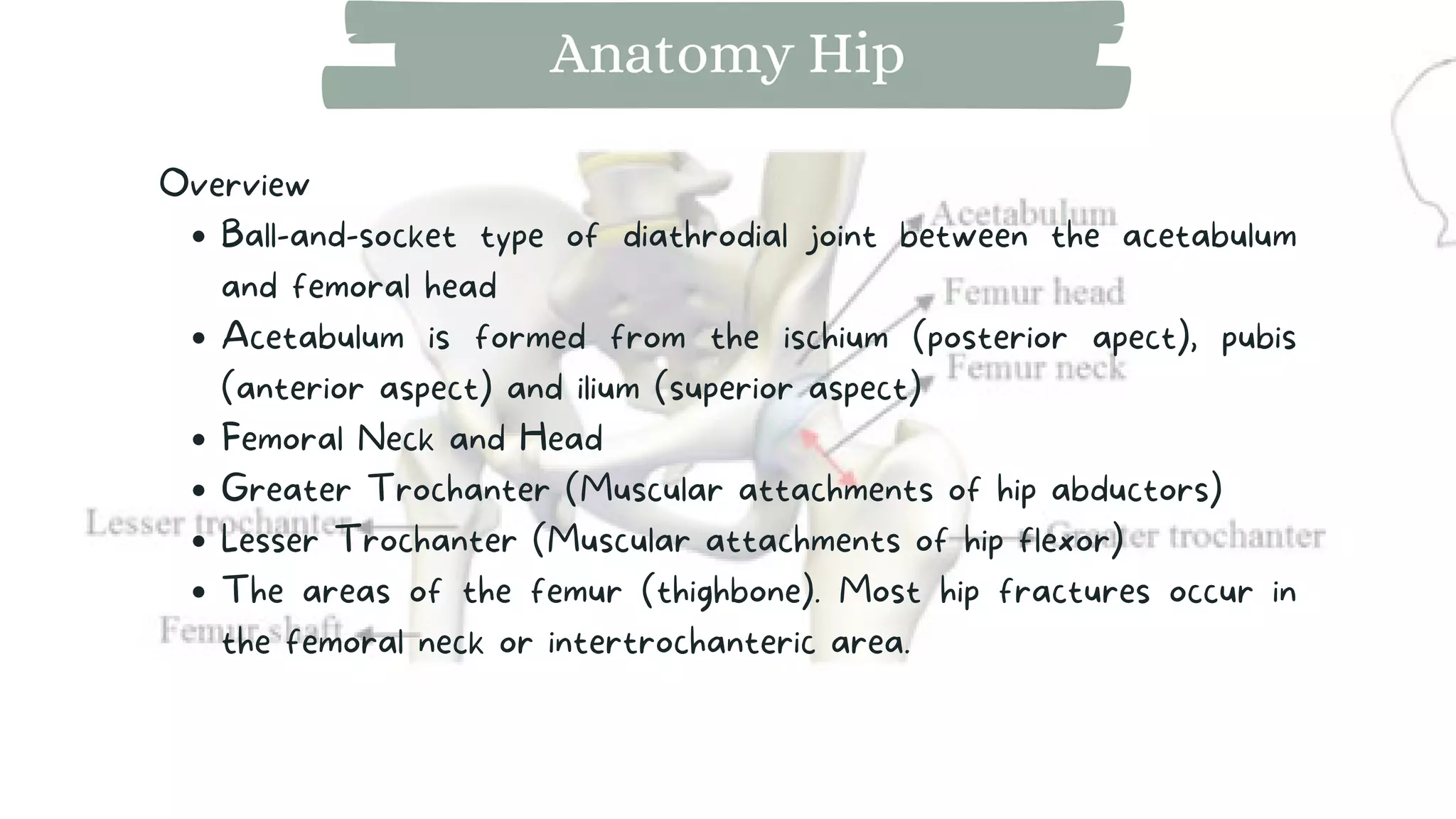 Introduction Hip Fracture_Putri Karina.pdf