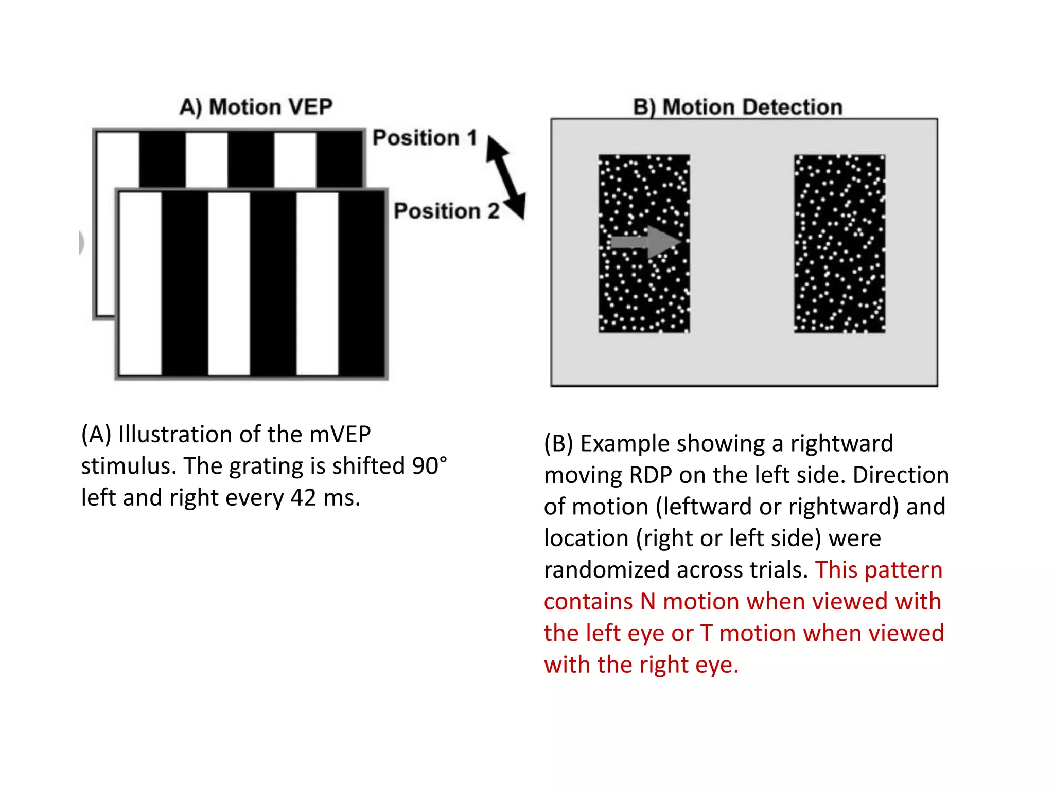 Introduction, history and neurophysiologic basis of vep | PPT
