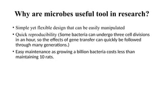 Introduction, History and Scope of Microbiology NEP sem I.pptx