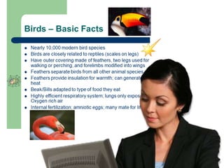 How students learn | PPT