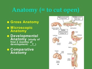 Introduction Human Anatomy | PPT
