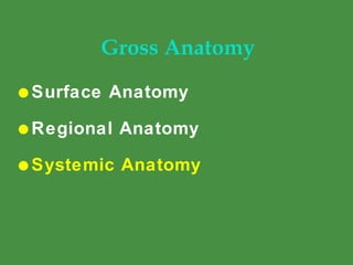 Introduction Human Anatomy | PPT