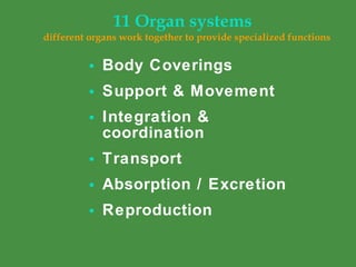 Introduction Human Anatomy | PPT