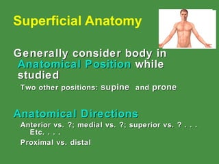 Introduction Human Anatomy | PPT