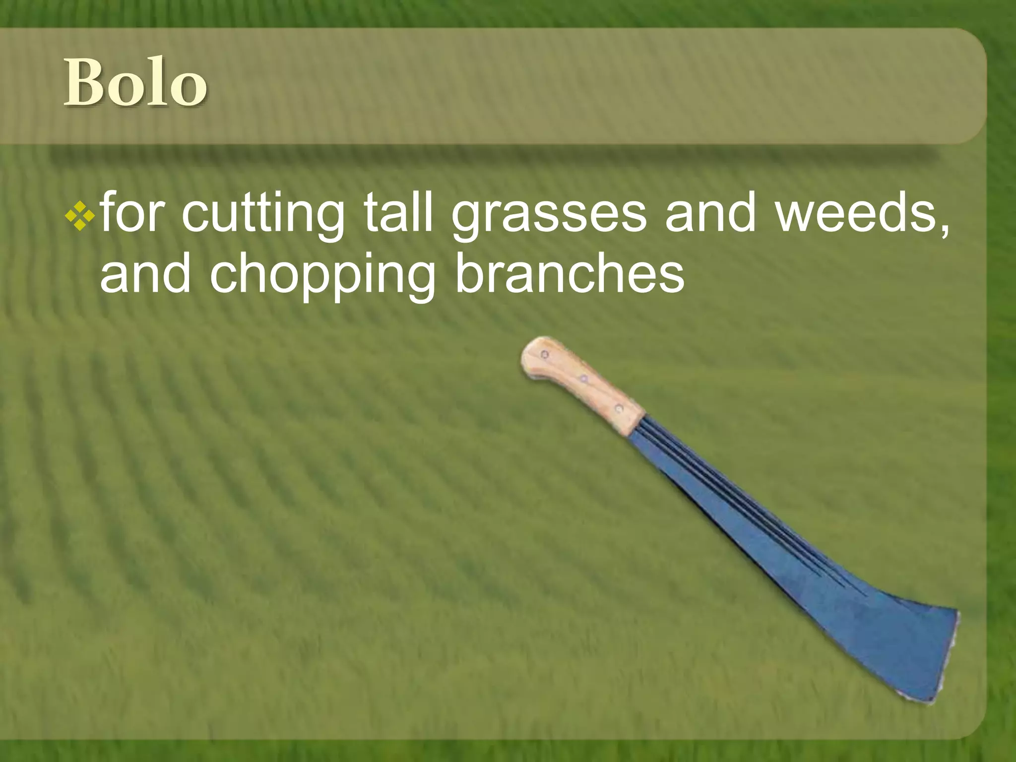 Introduction in Agriculture | PPTX
