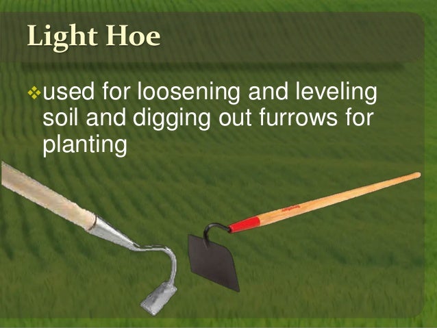 Introduction in Agriculture