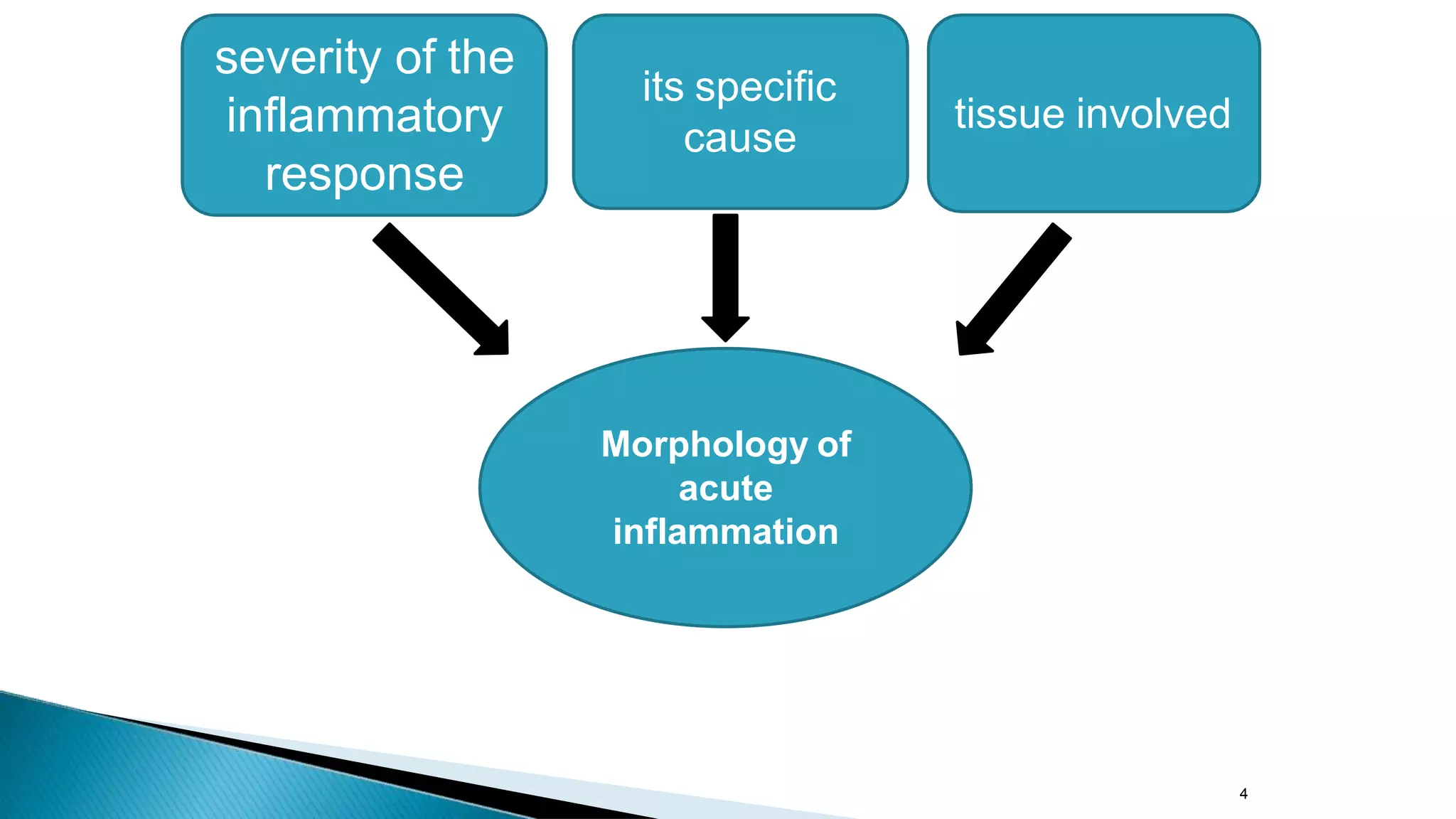 INTRODUCTION inflammation.pptx