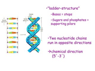 an introduction in molecular biology.ppt