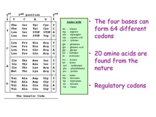 an introduction in molecular biology.ppt