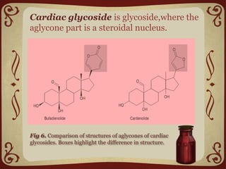 Introduction in plant pharmacology (pharmacognosy).Glycosides.pptx