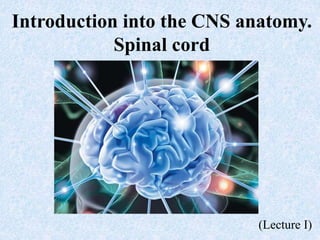 Introduction into CNS.pptx