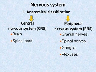 Introduction into CNS.pptx