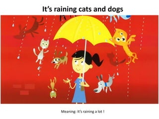 Introduction into idioms | PPT