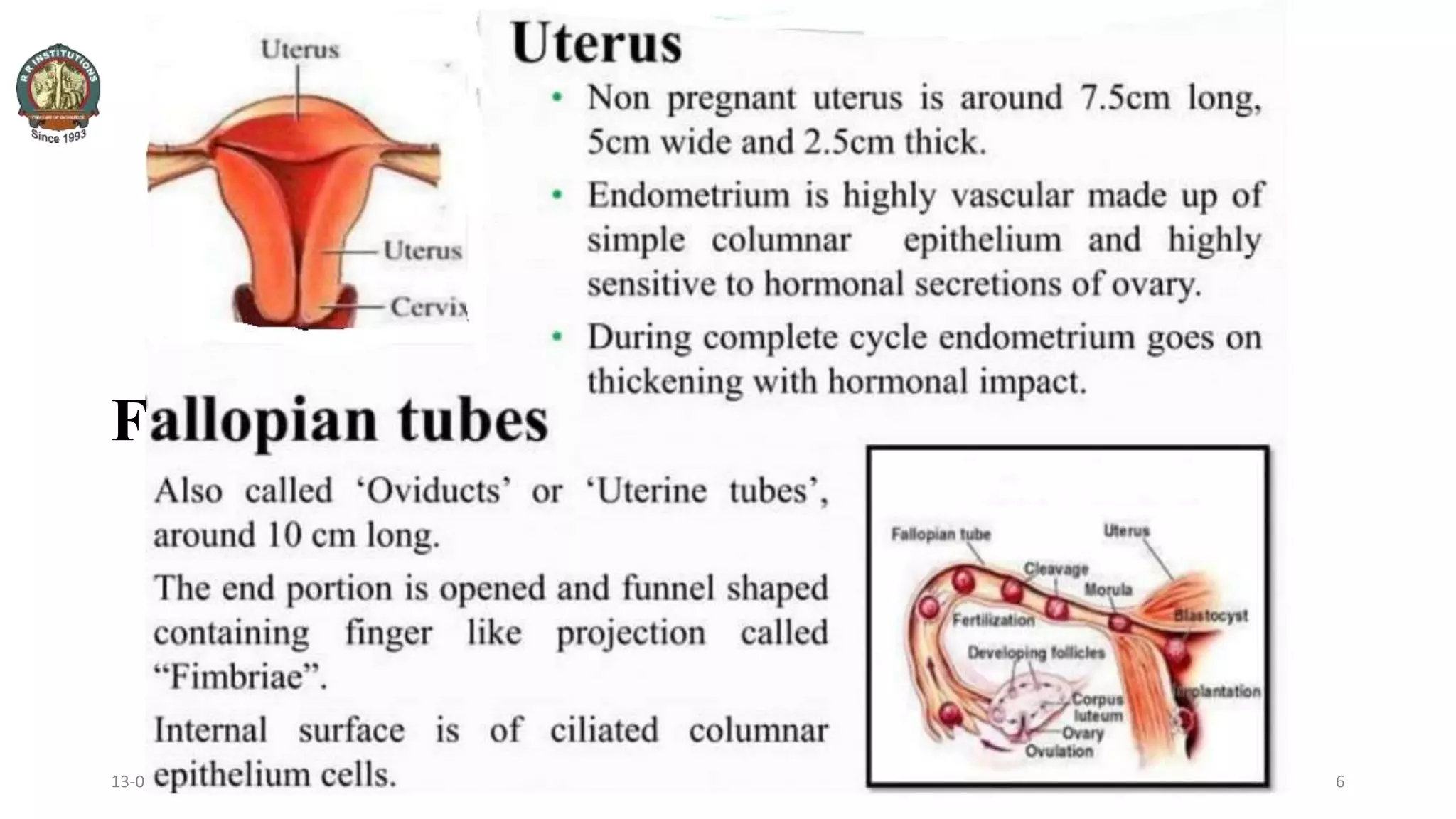 INTRODUCTION INTRAUTERINDE DDS.pptx