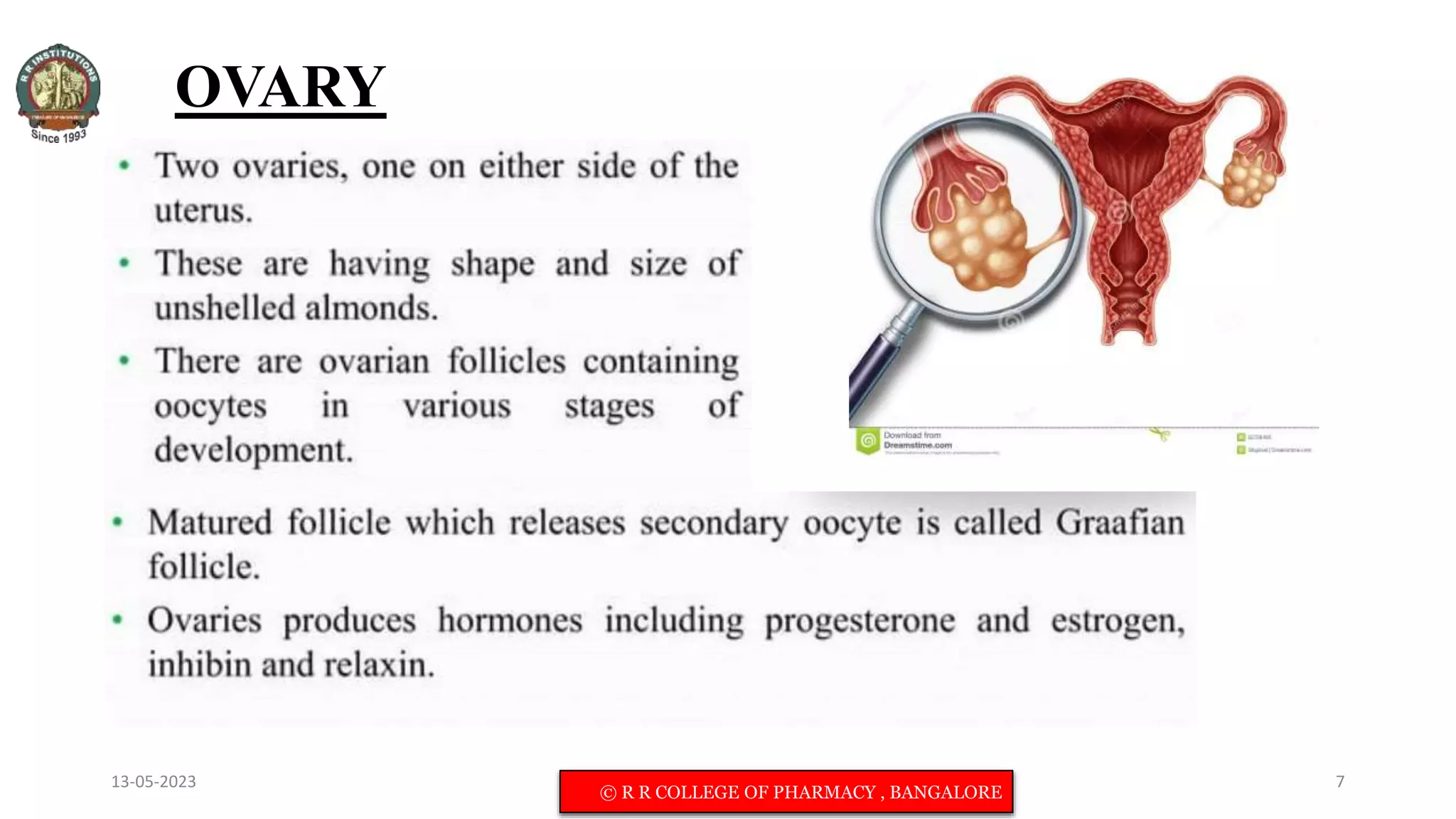INTRODUCTION INTRAUTERINDE DDS.pptx